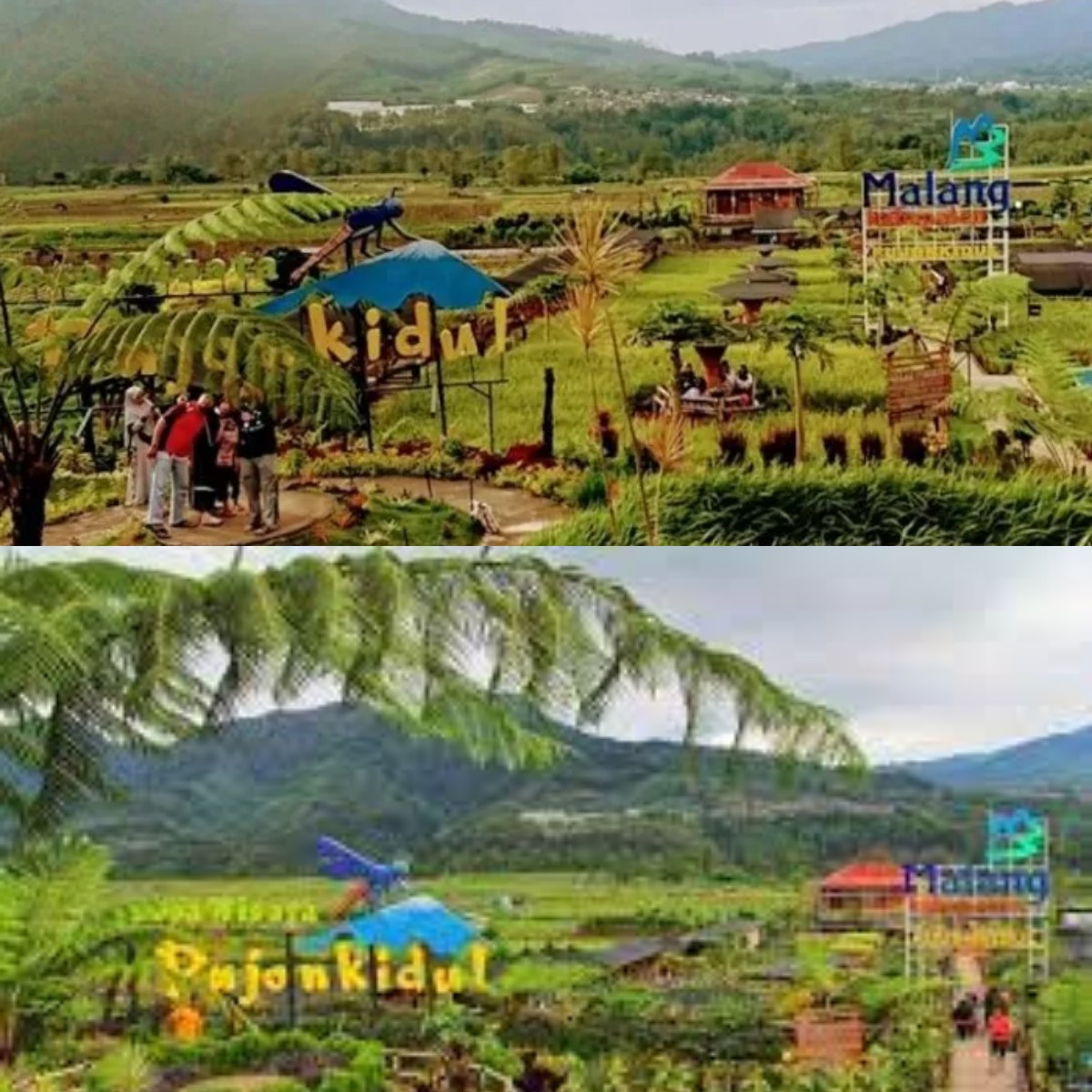 Yuk Intip Rahasia Desa Wisata yang Bikin Pengunjung Betah dan Pengen Balik Lagi