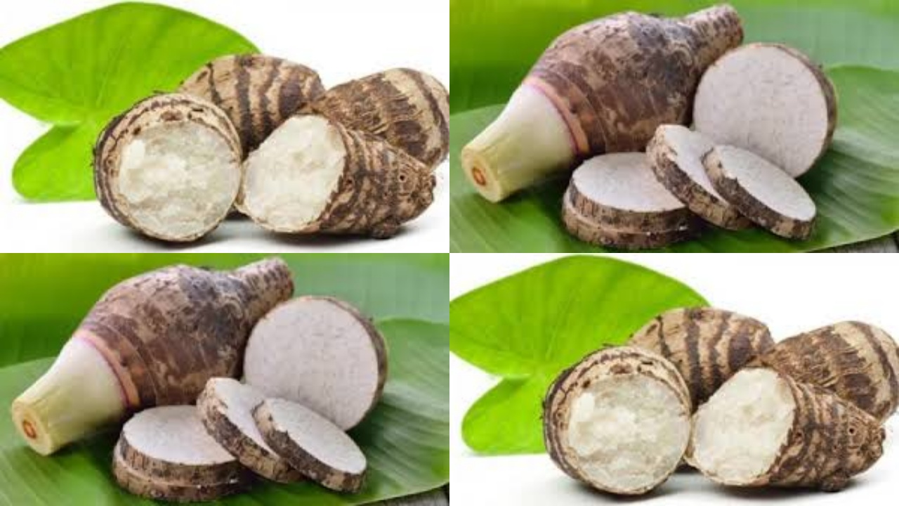Rahasia Ubi Talas: Umbi Sederhana Dengan Segudang Khasiat Untuk Tubuhmu!