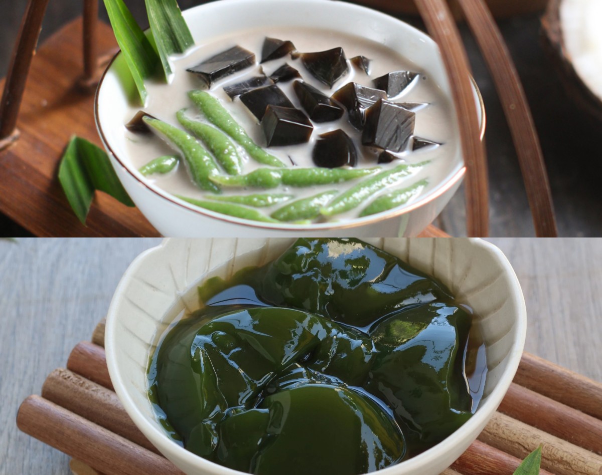 Perbedaan Mencolok Cincau Hijau dan Hitam yang Wajib Diketahui Sebelum ...