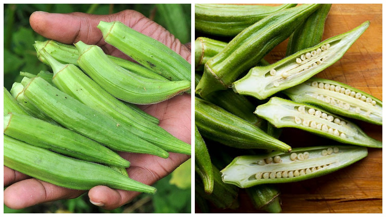 Wajib Coba! Kombinasi Serat dan Nutrisi Sehat 5 Keistimewaan Sayur Okra